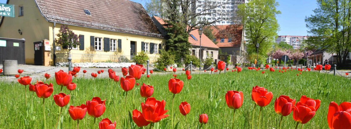 KulturGut - Marzahn-Hellersdorf